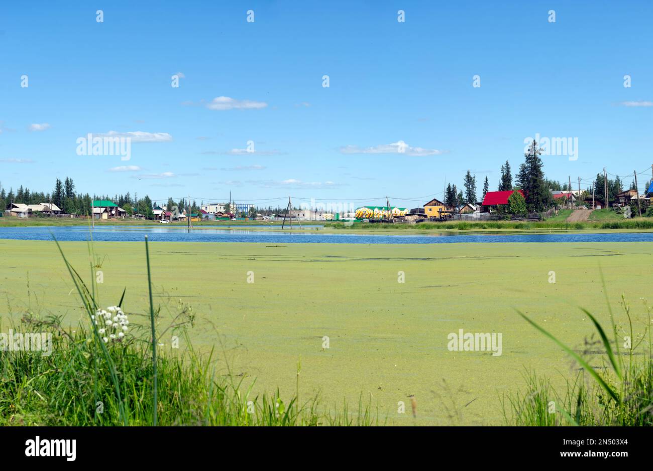 Bright day in the village of Ulus Suntar in Yakutia on an overgrown ...