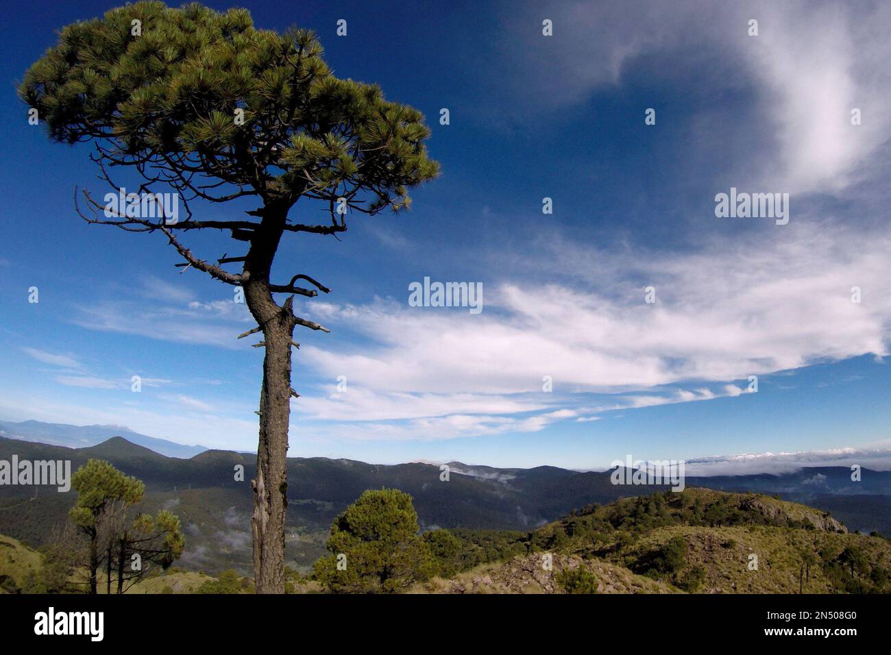 February 8, 2023, Mexico City, Mexico: Landscape of the Cumbres del ...