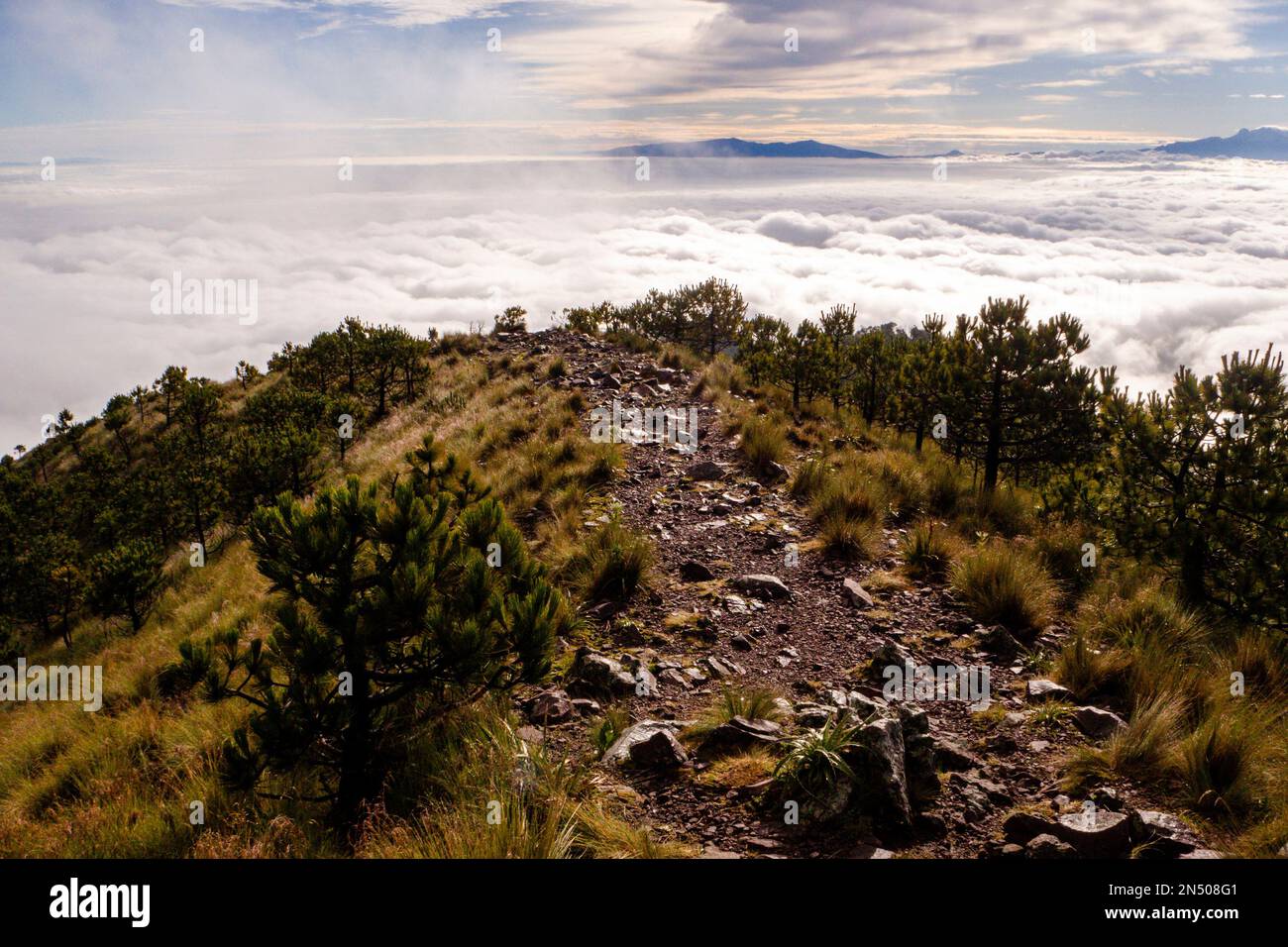 February 8, 2023, Mexico City, Mexico: Landscape of the Cumbres del ...