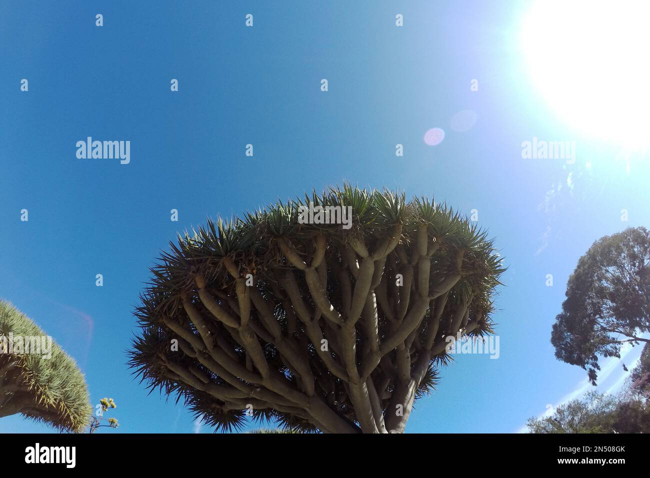 February 8, 2023, Mexico City, Mexico: Landscape of the Cumbres del ...