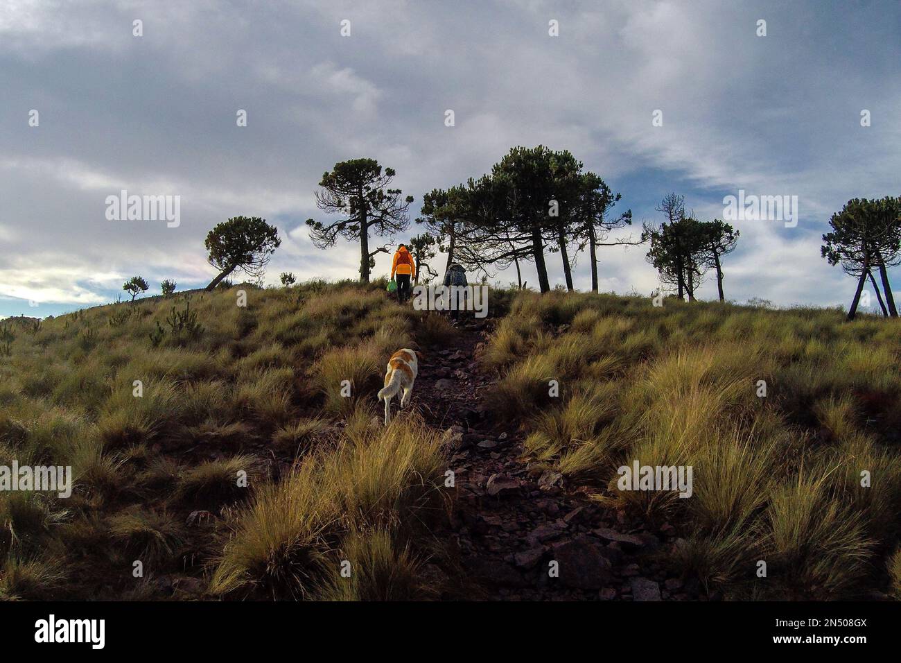 February 8, 2023, Mexico City, Mexico: Landscape of the Cumbres del ...