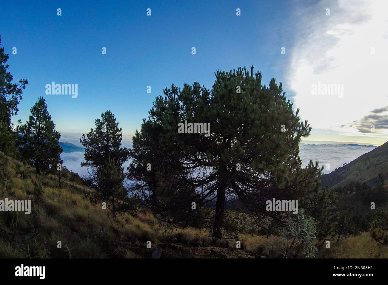 February 8, 2023, Mexico City, Mexico: Landscape of the Cumbres del ...
