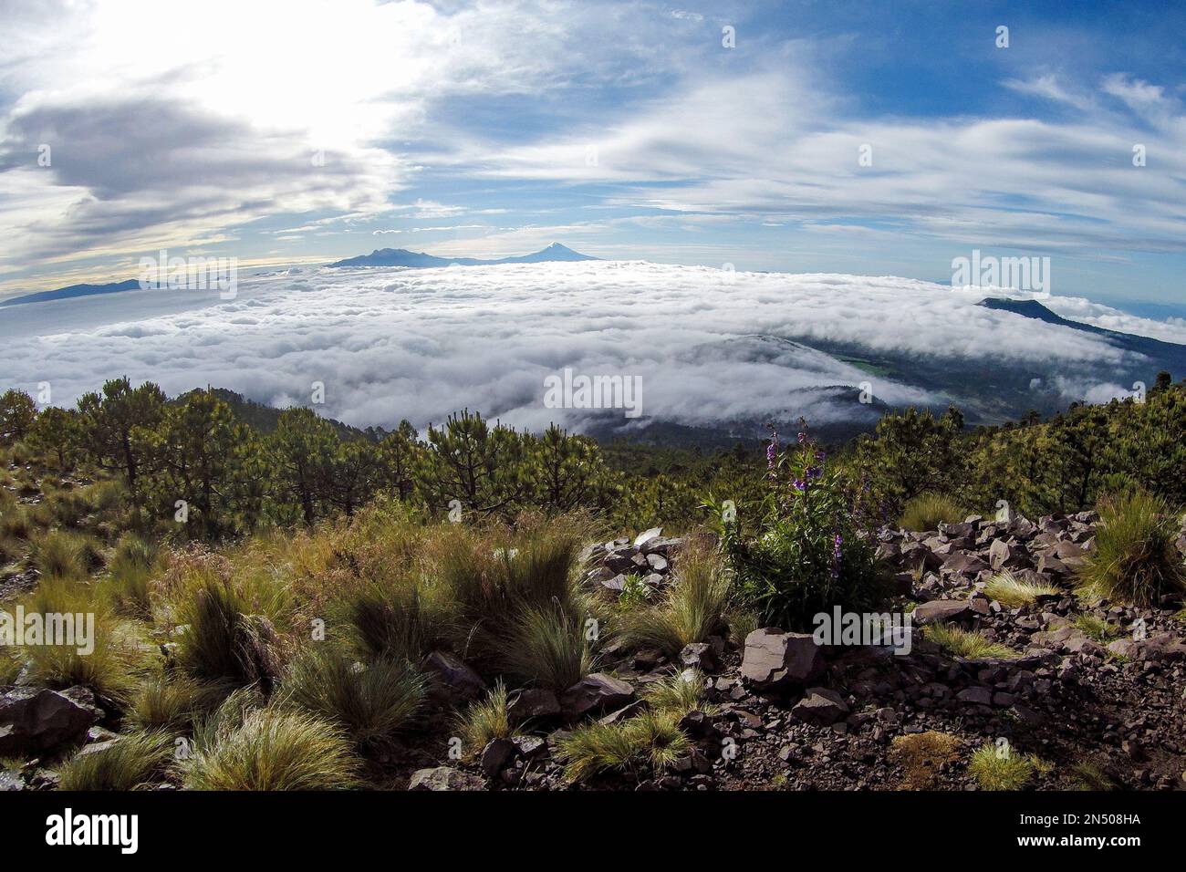 February 8, 2023, Mexico City, Mexico: Landscape of the Cumbres del ...