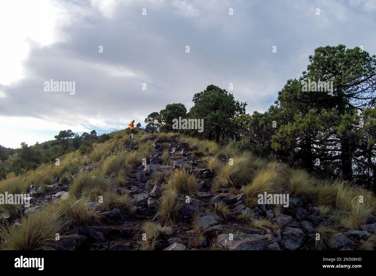 February 8, 2023, Mexico City, Mexico: Landscape of the Cumbres del ...