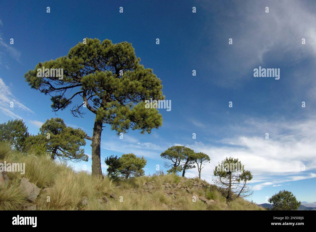 February 8, 2023, Mexico City, Mexico: Landscape of the Cumbres del ...
