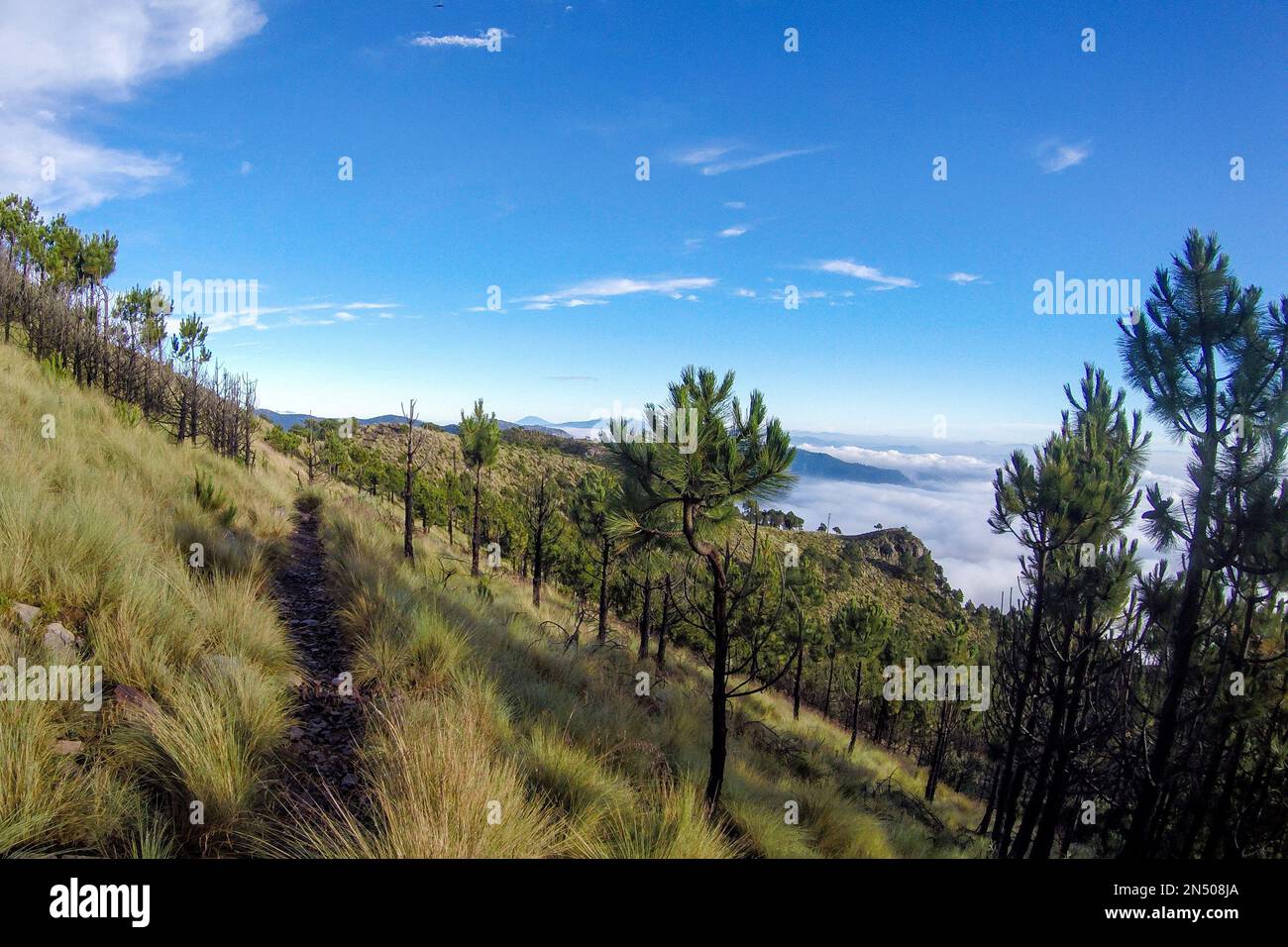February 8, 2023, Mexico City, Mexico: Landscape of the Cumbres del ...