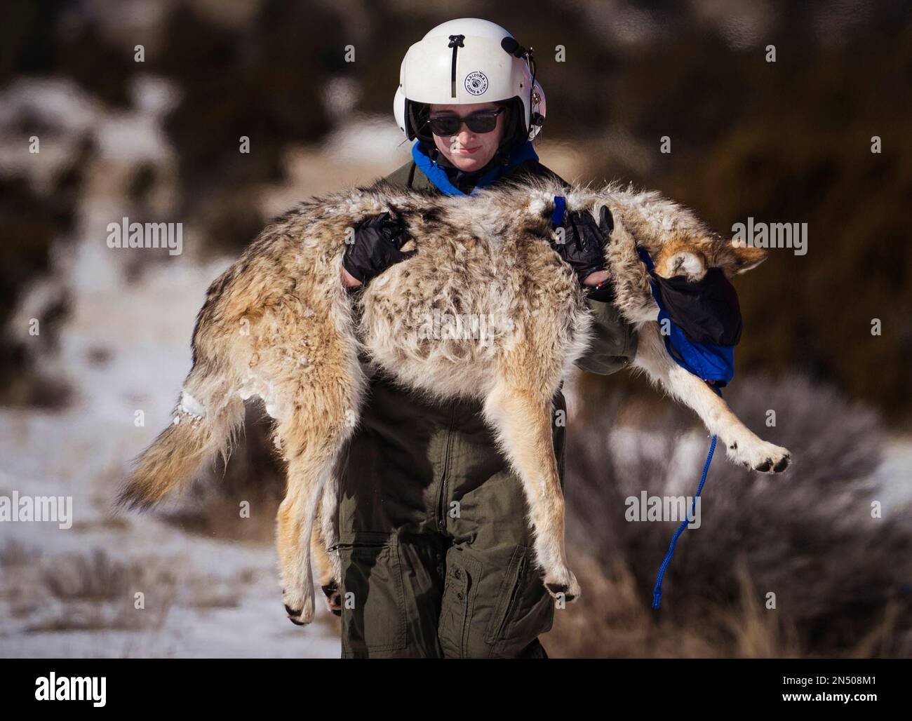 Savannah Cantrell, volunteer technician with the U.S. Fish and Wildlife ...