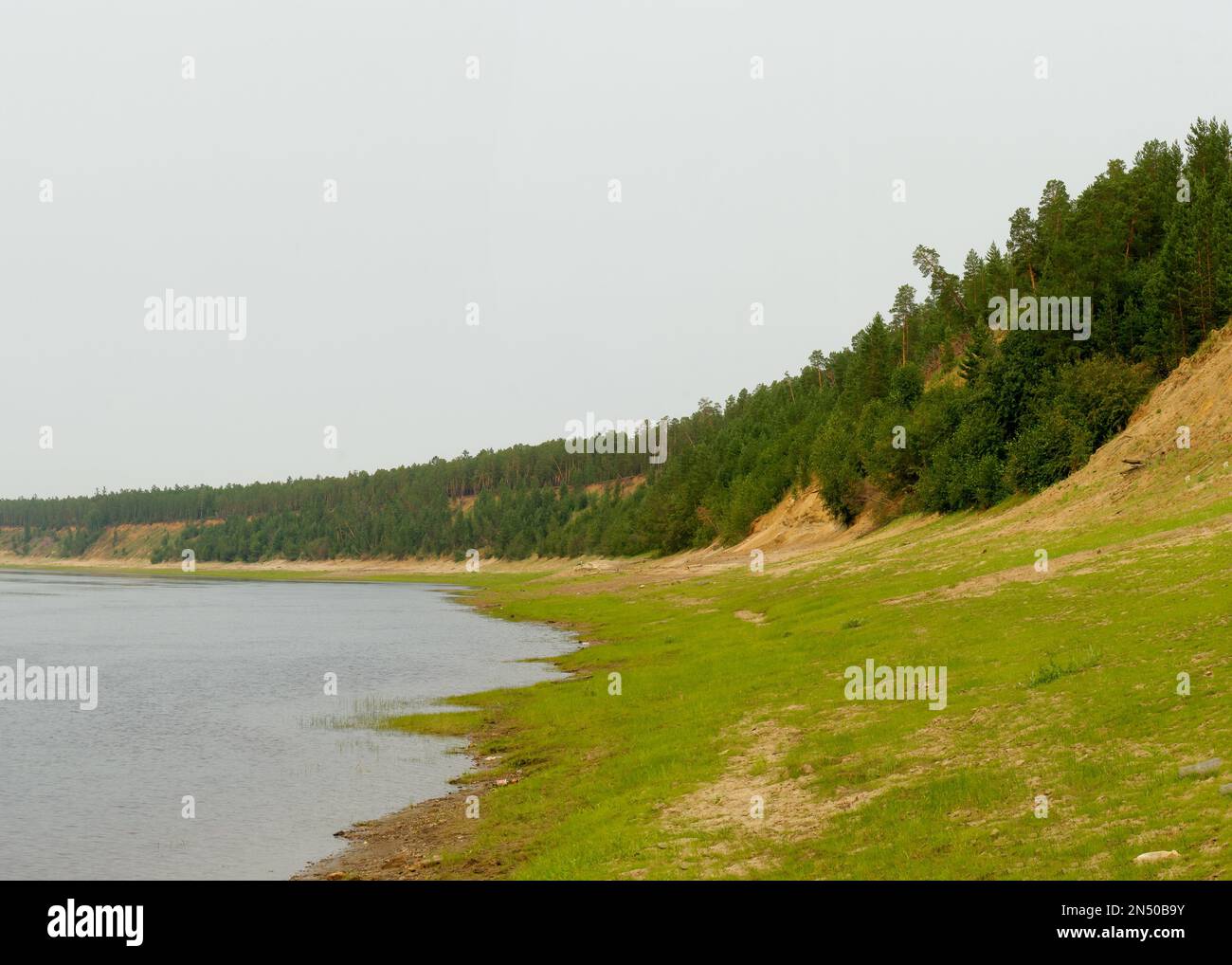 The North shore of the Yakut river Vilyui of grass under the cliffs ...
