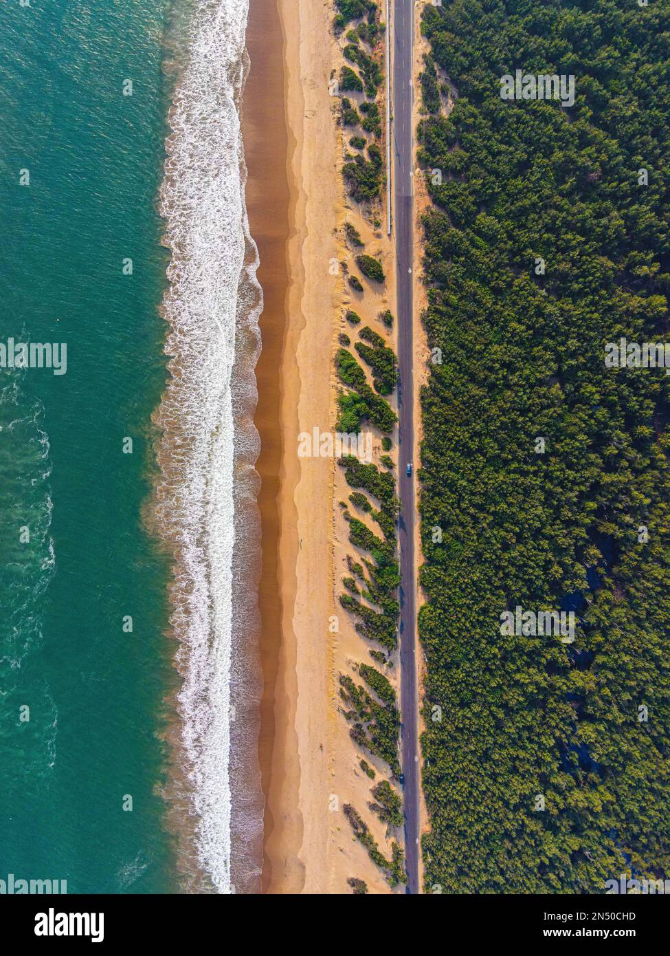 A beautiful vertical view of a road with trees and beach during sunrise ...