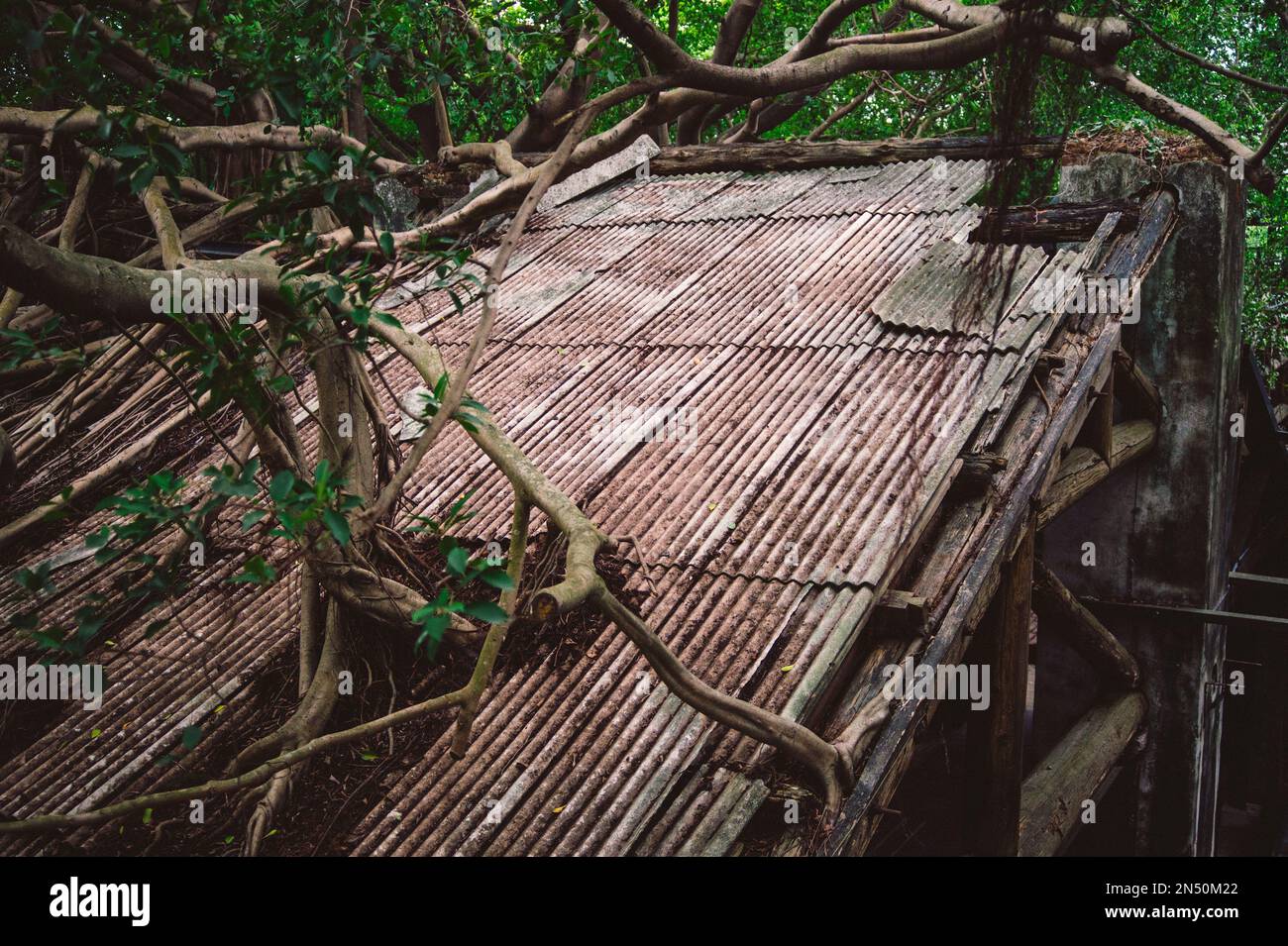 Abandoned Quarantine City Stock Photo - Alamy