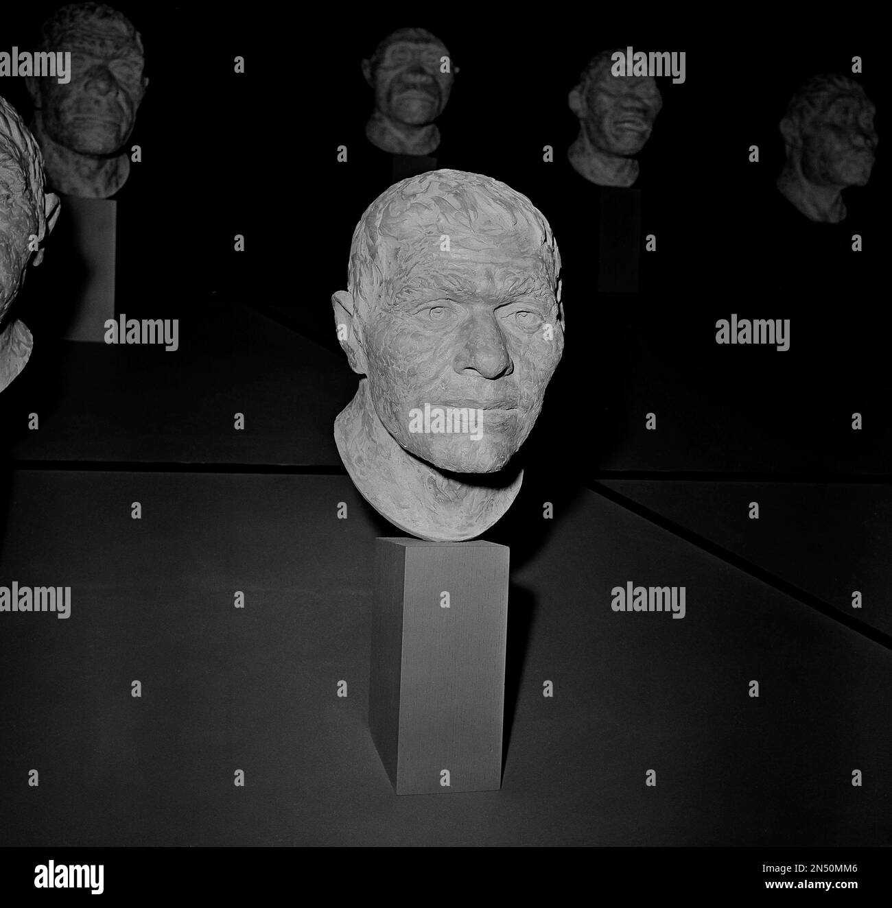 This is the Evolution Exhibit at New York's Museum of Natural History ...