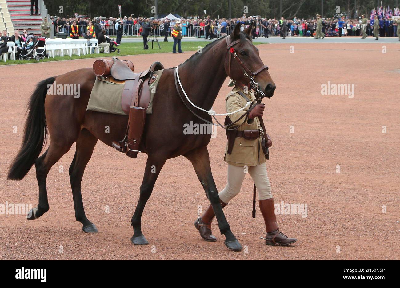 A Riderless Horse Known As The Lone Charger That Represents Fallen Soldiers Walks Past a-riderless-horse-known-as-the-lone-charger-that-represents-fallen-soldiers-walks-past