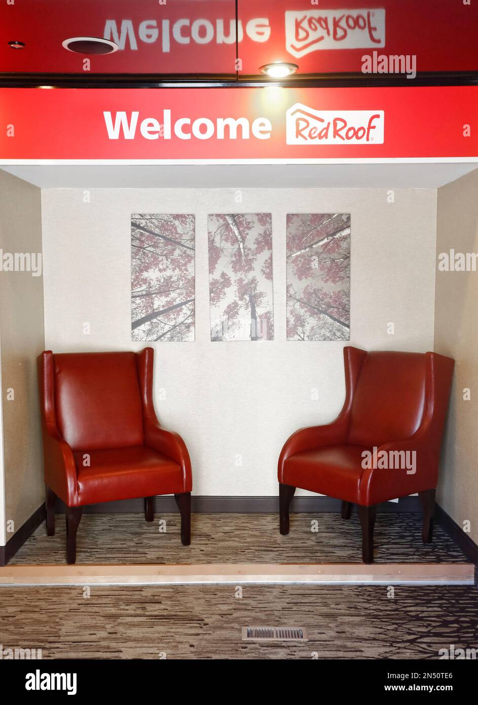 Red Roof unveils the Red Roof PLUS+ hotel room in a retrofitted 18 ...