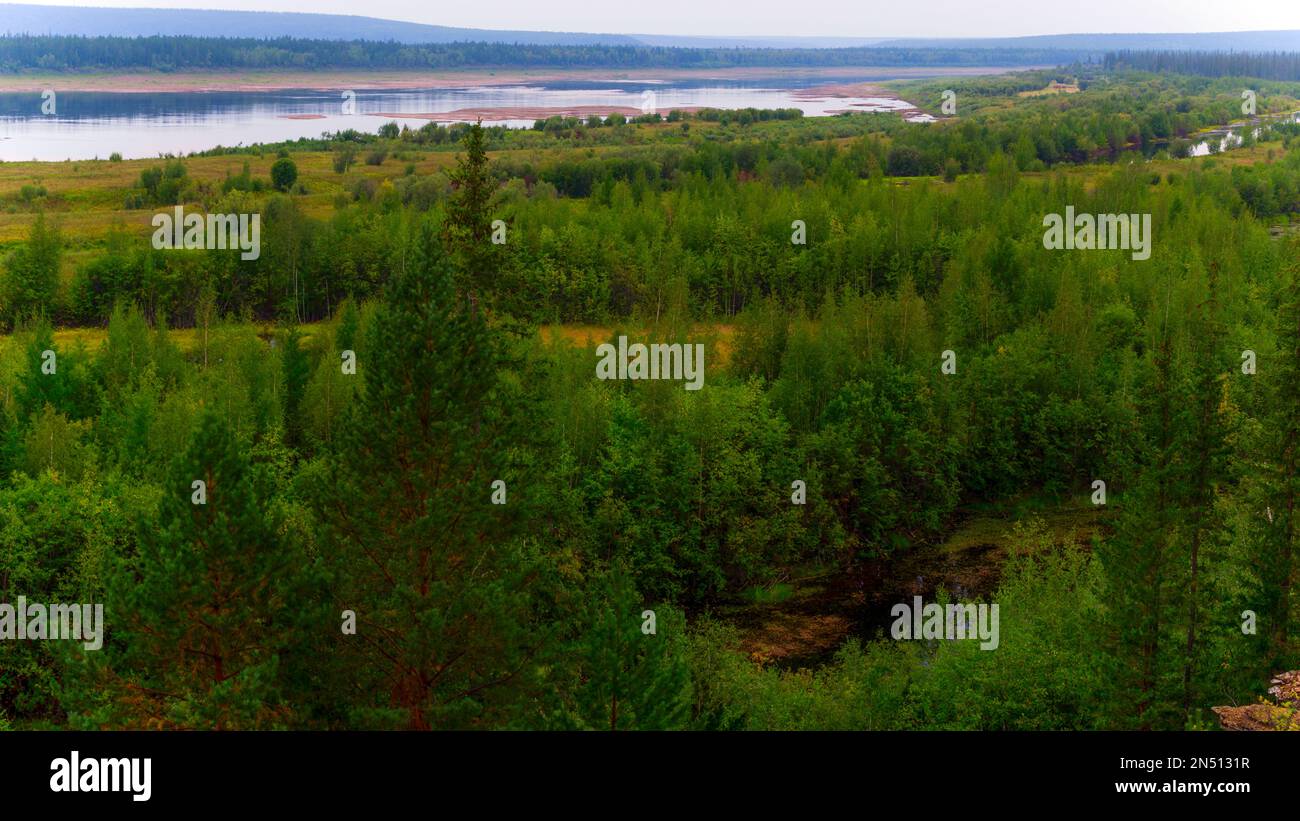 Overgrown trees and bushes from the North shore of the river Vilyui on ...