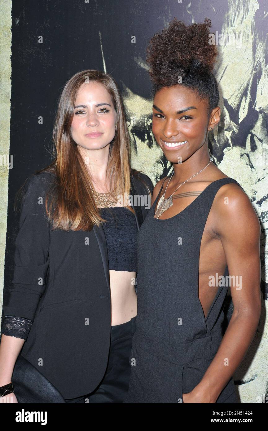 Ashley Ceaser, at left, and Arielle Scott seen at the LA premiere of ...