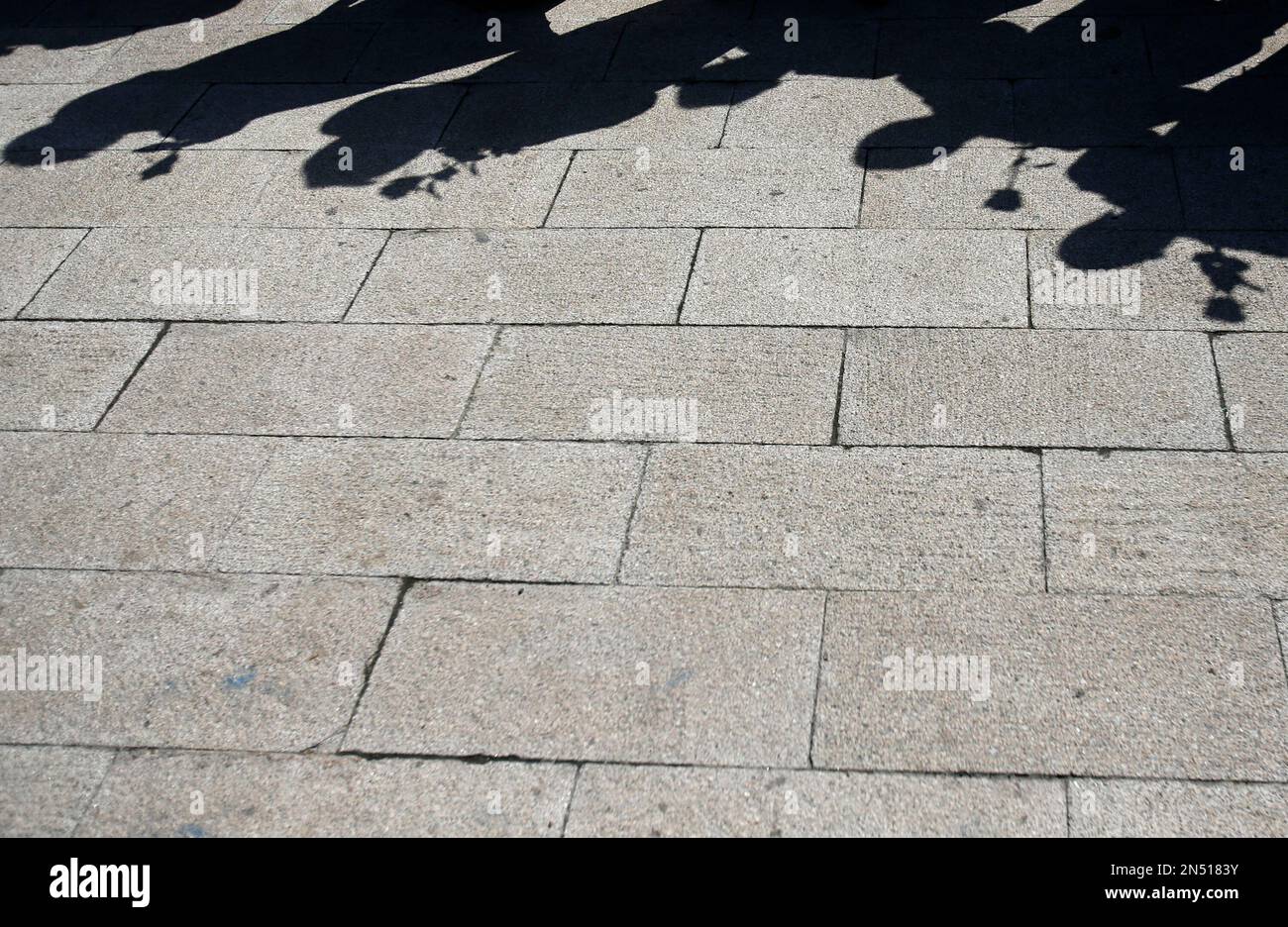 Shadows of people with flowers pay homage to the victims of the ...