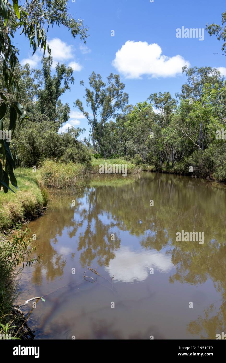 Condamine River at Archers Crossing Stock Photo - Alamy