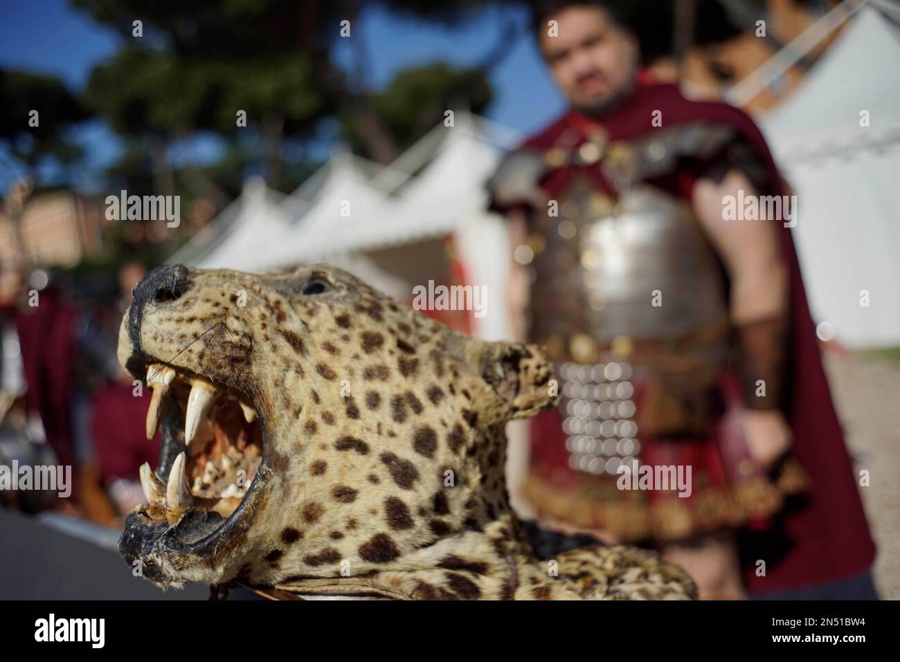 A stuffed leopard face is part of a traditional ancient Roman costume ...