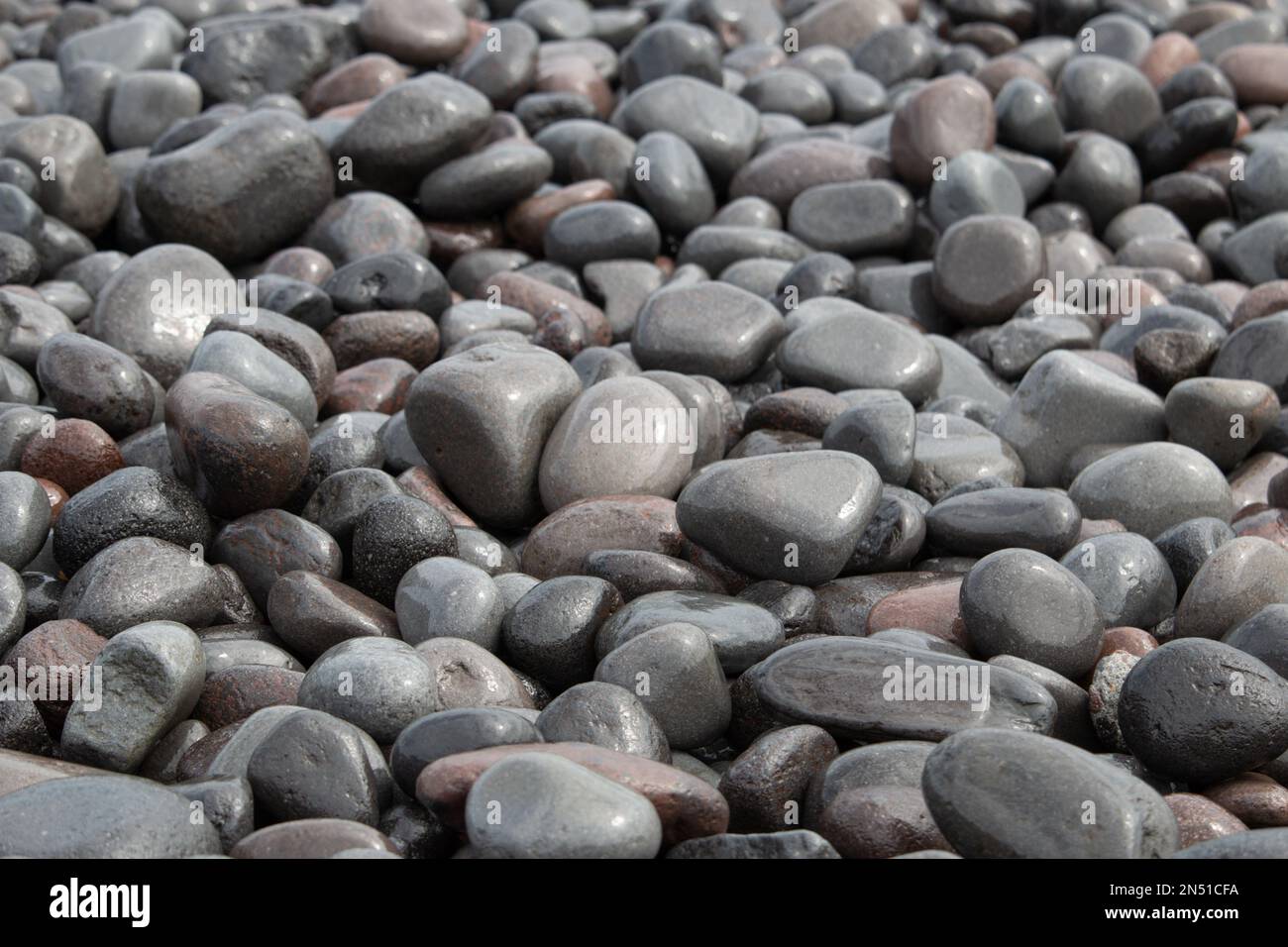 Smooth wet grey pebbles on beach Stock Photo - Alamy