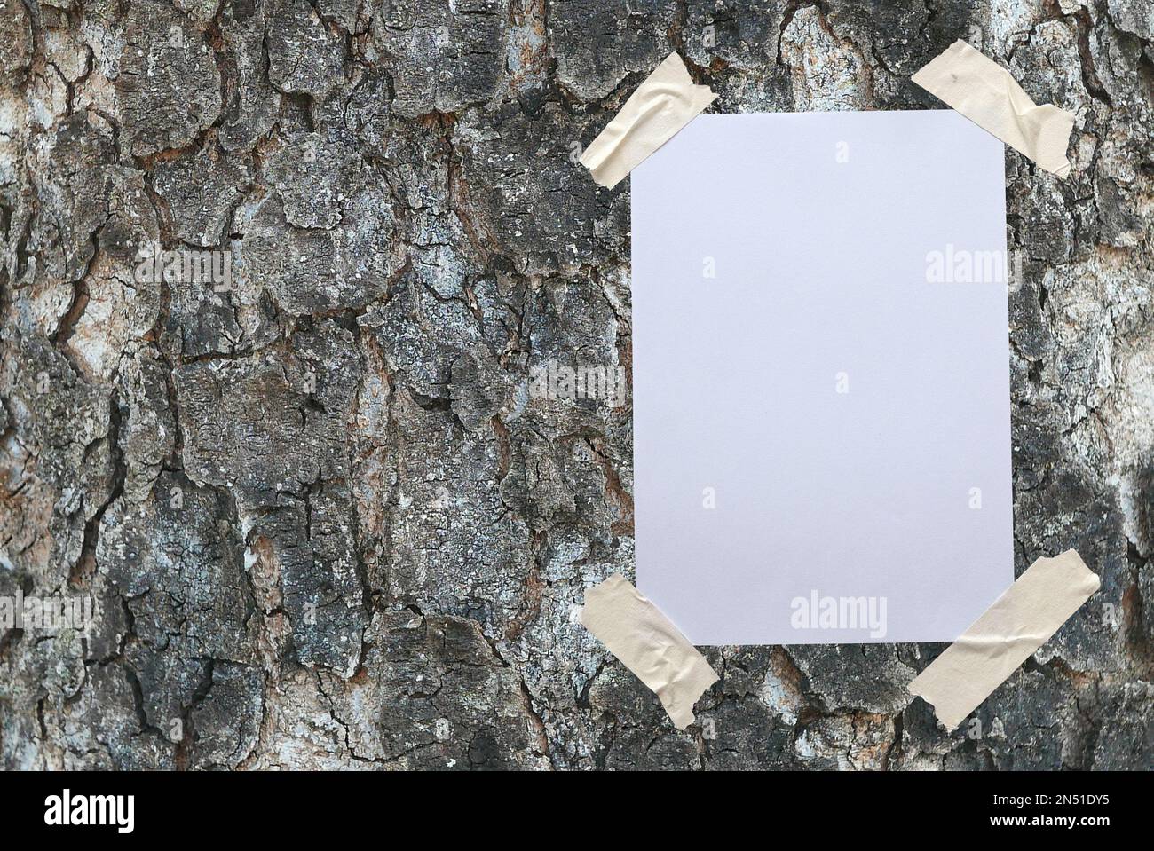 Attached to the tree with adhesive tape hi-res stock photography and ...