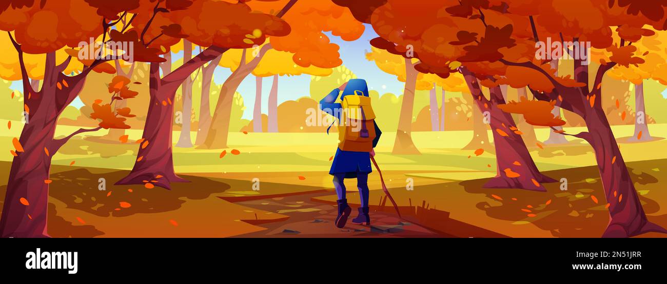 Hiker with backpack walk in autumn forest. Landscape of woods or nature ...