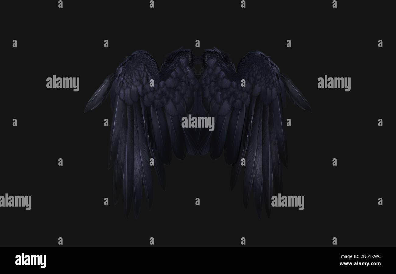 3d Illustration of Crow wing, Demon Wings, Black Wing Plumage Isolated ...