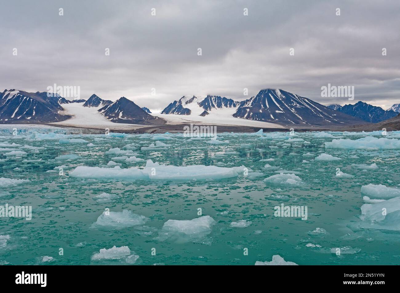 Rich Colors in an Arctic Habitat at Lilliehookfjorden in the Svalbard ...