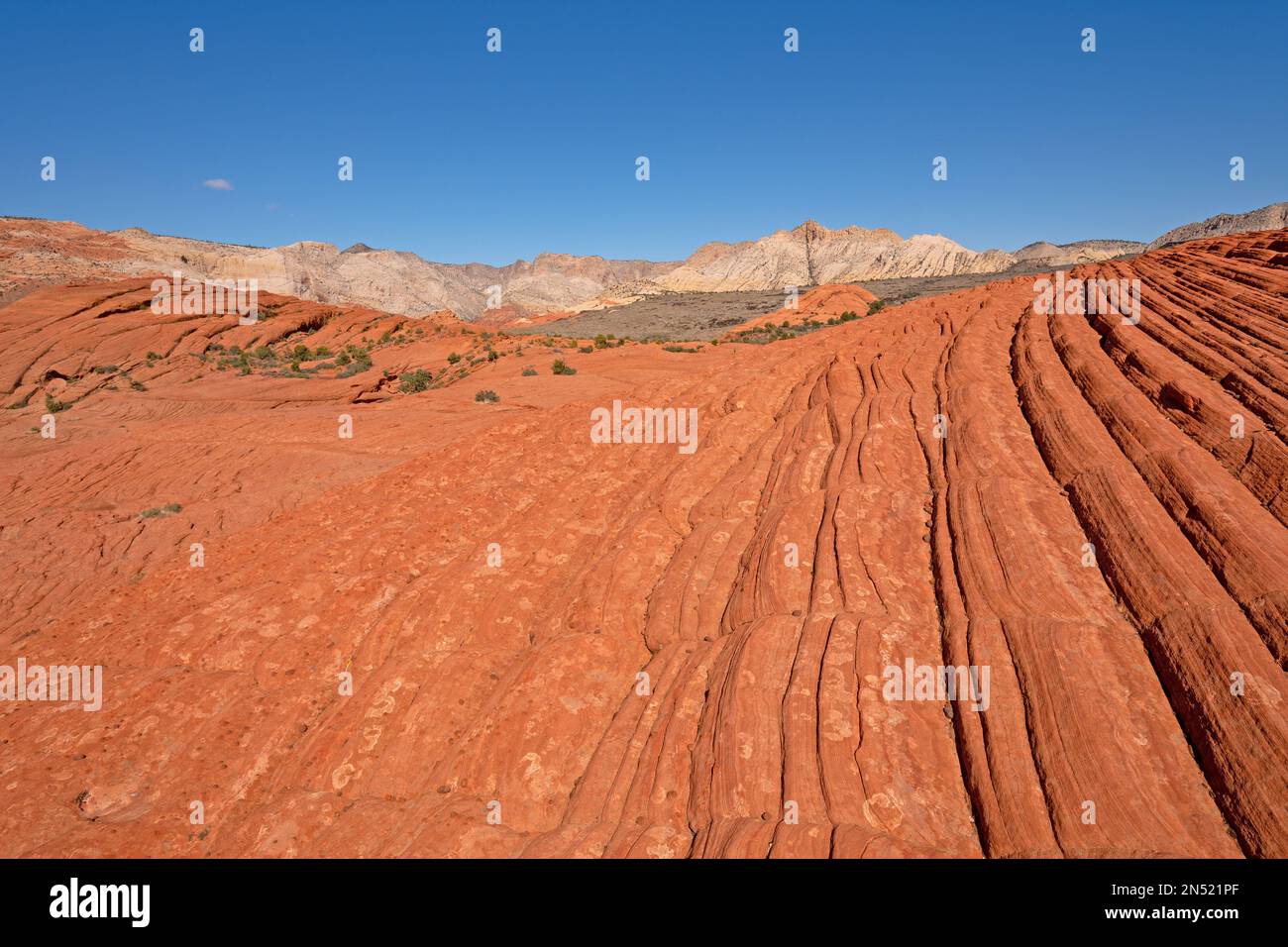 Red and White Sandstone in the the Desert in Snow Canyon State Park in ...