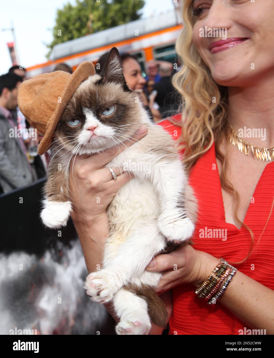 Grumpy Cat arrives at the MTV Movie Awards on Sunday, April 13, 2014 ...