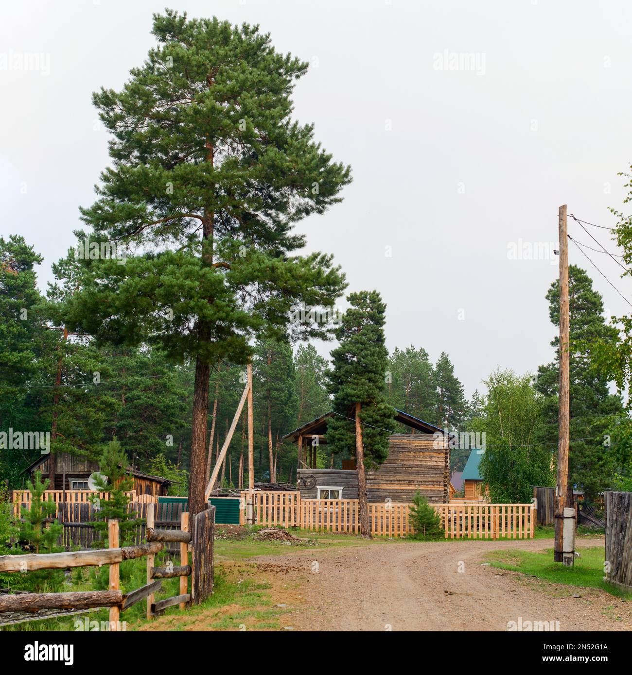 Fork of the village road with wooden houses made of pine in the ...