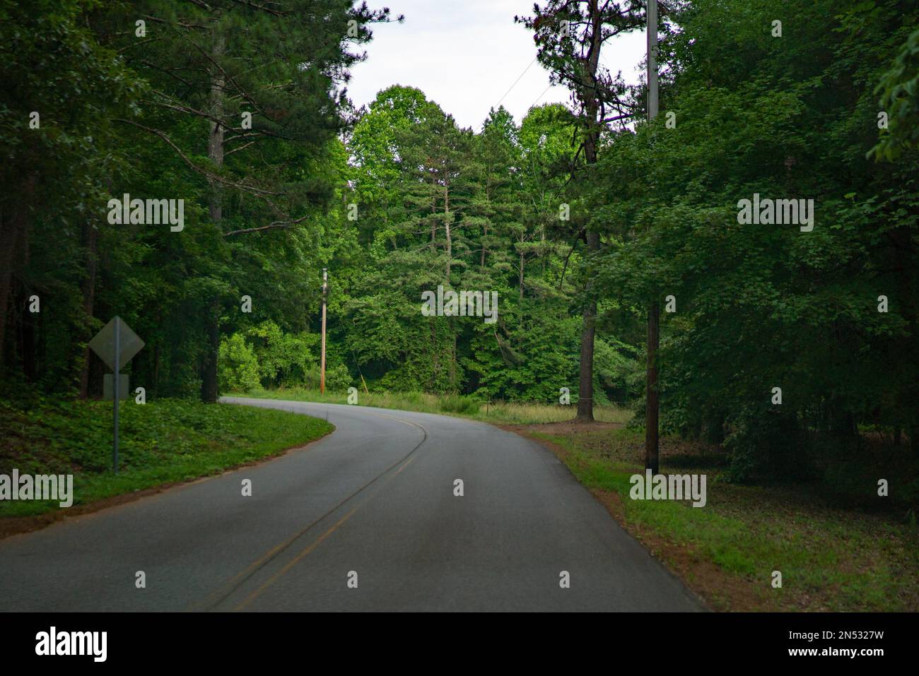 street view back road country green tall trees bending road turning ...