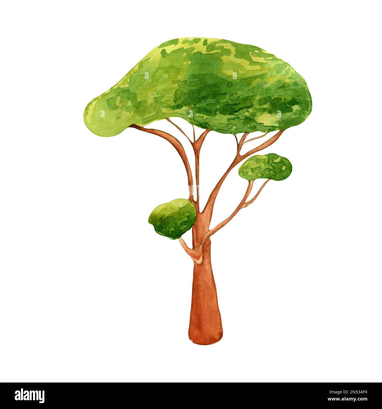 Dragon blood tree watercolor illustration isolated on white background ...