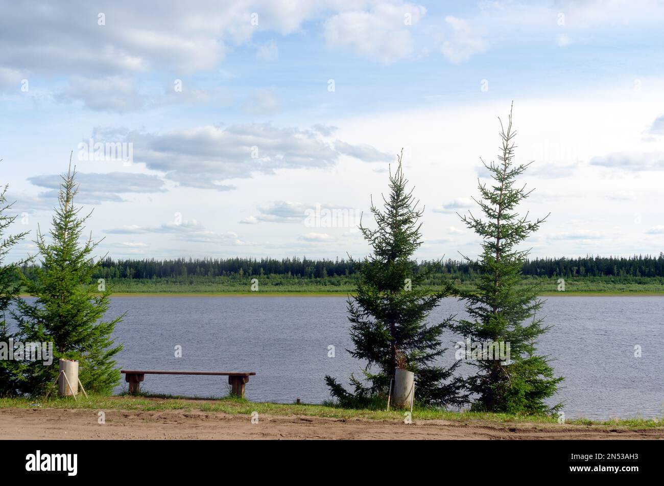 The road in the Northern Yakut village of ulus Suntar with small fir ...