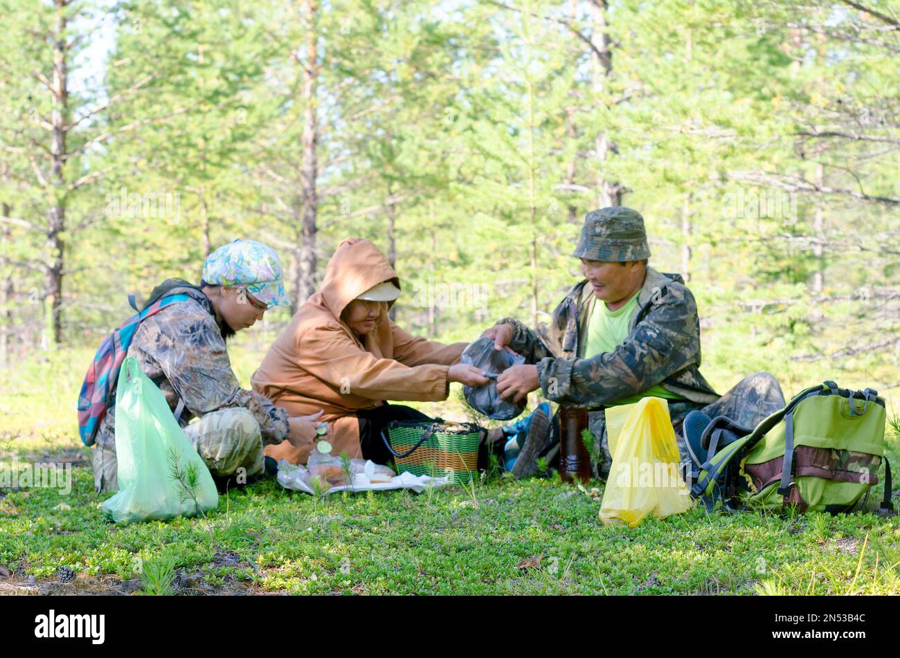 A Yakut family on a picnic lays out food on the grass in a field near ...
