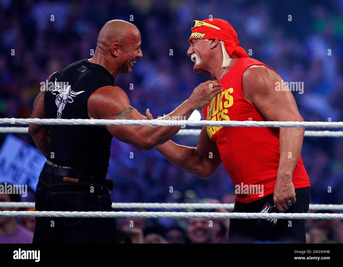 Dwayne Johnson 2014 Wwe