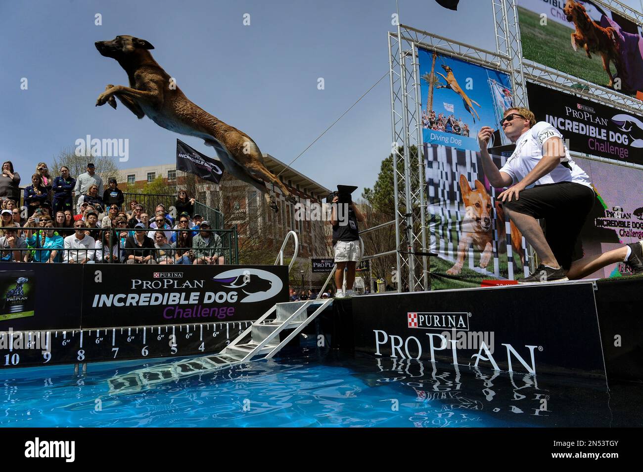 In this image provided by Purina® Pro Plan®, athletic dogs compete in a ...