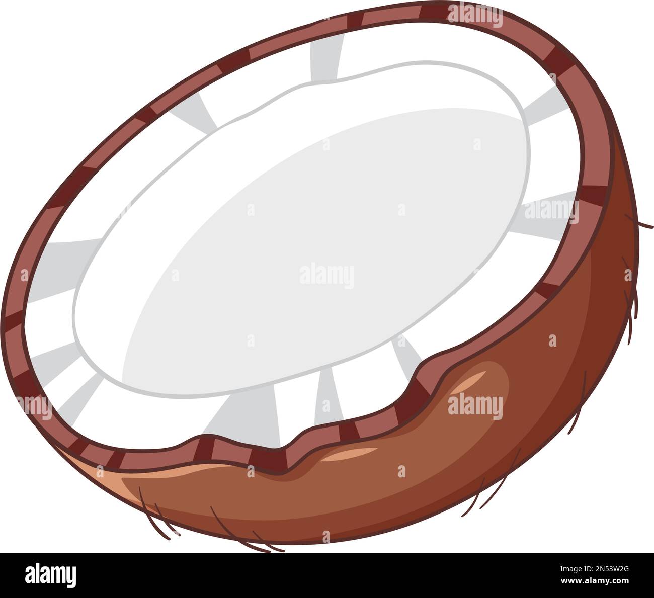An isolated coconut cartoon illustration Stock Vector Image & Art - Alamy
