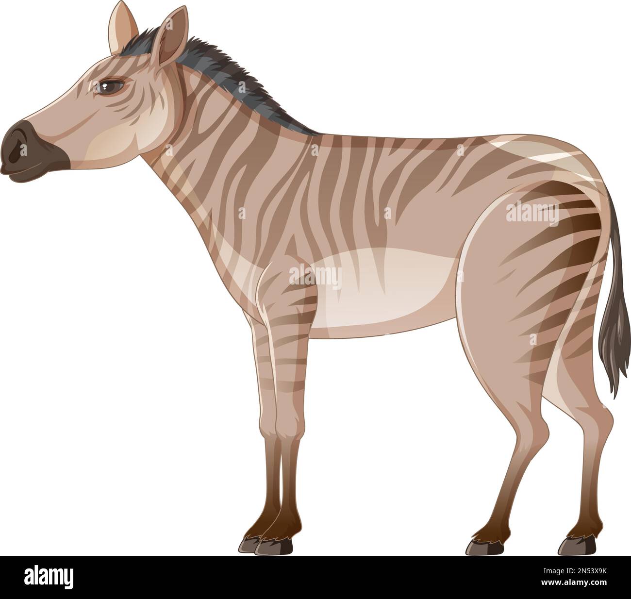Hagerman Horse extinct animal vector illustration Stock Vector Image ...