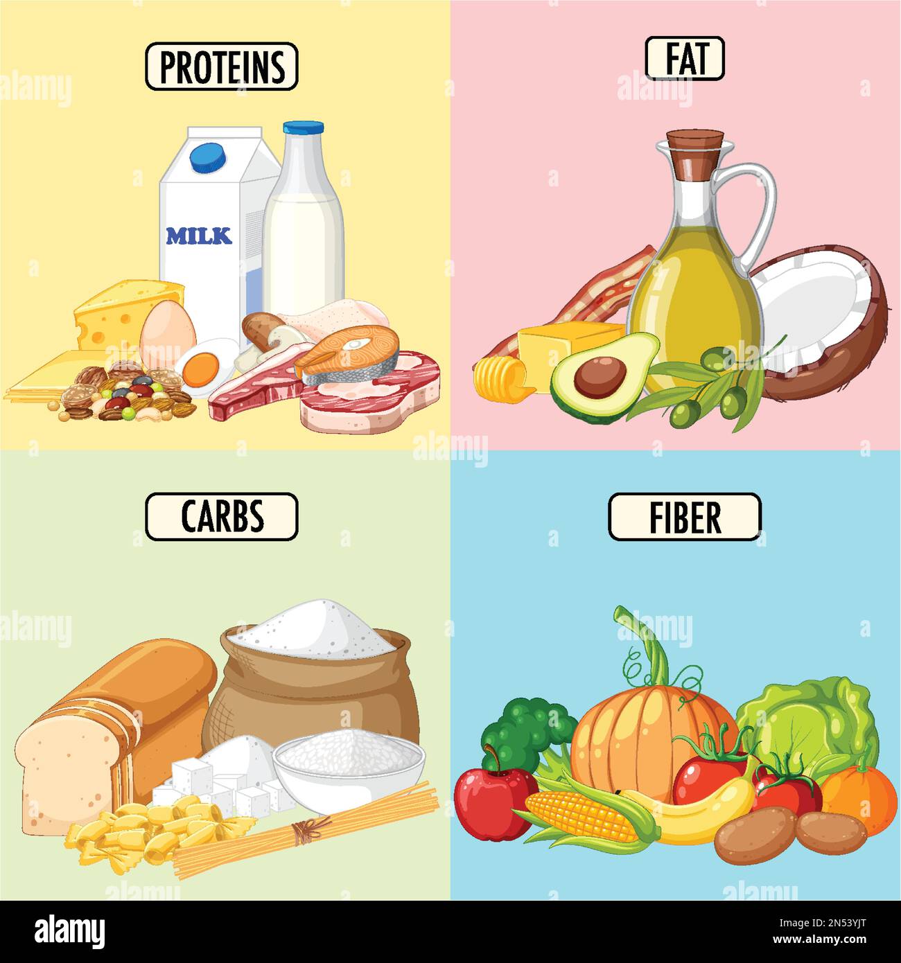 Protein food groups Stock Vector Images - Alamy