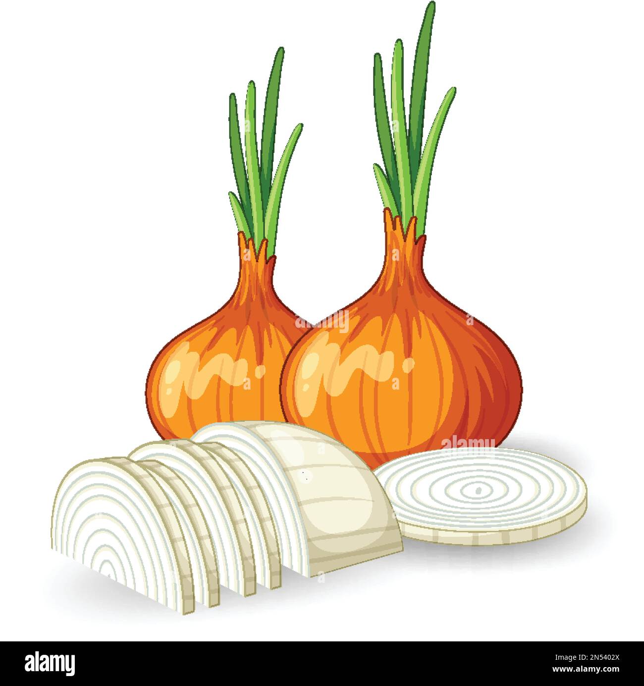 Sliced Onion Drawing