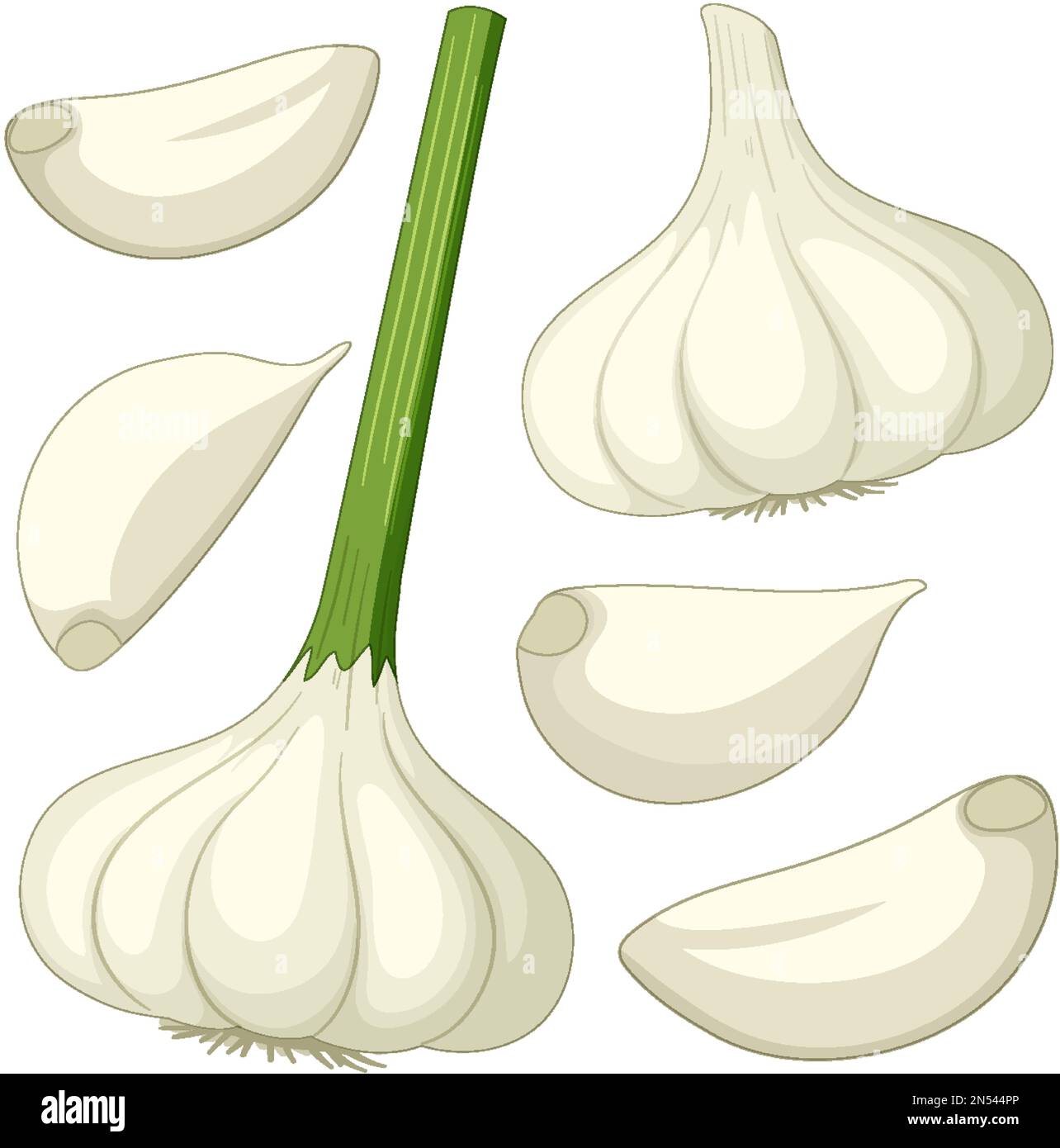Garlic in cartoon style isolated illustration Stock Vector Image & Art ...
