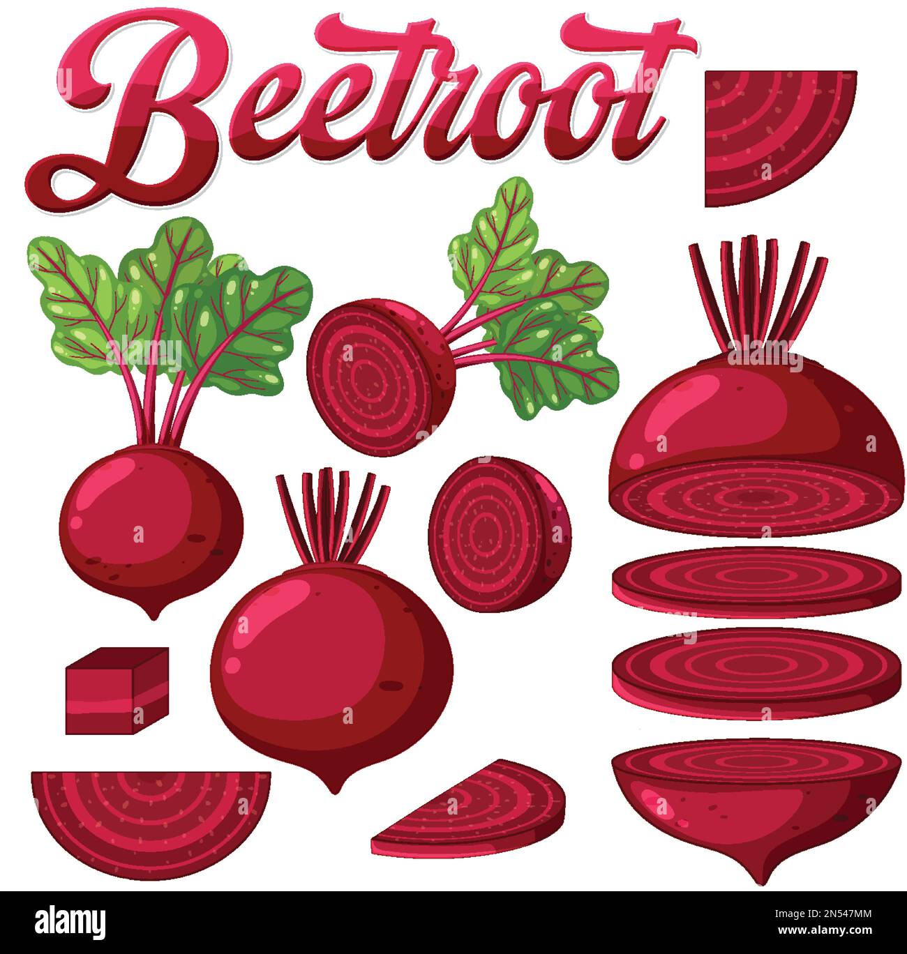 Set of chopped and sliced beetroot illustration Stock Vector Image ...