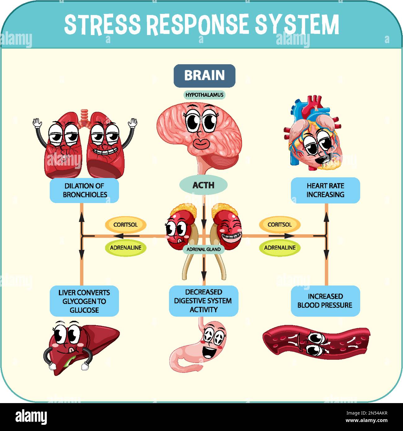 Response Science Diagram Pic