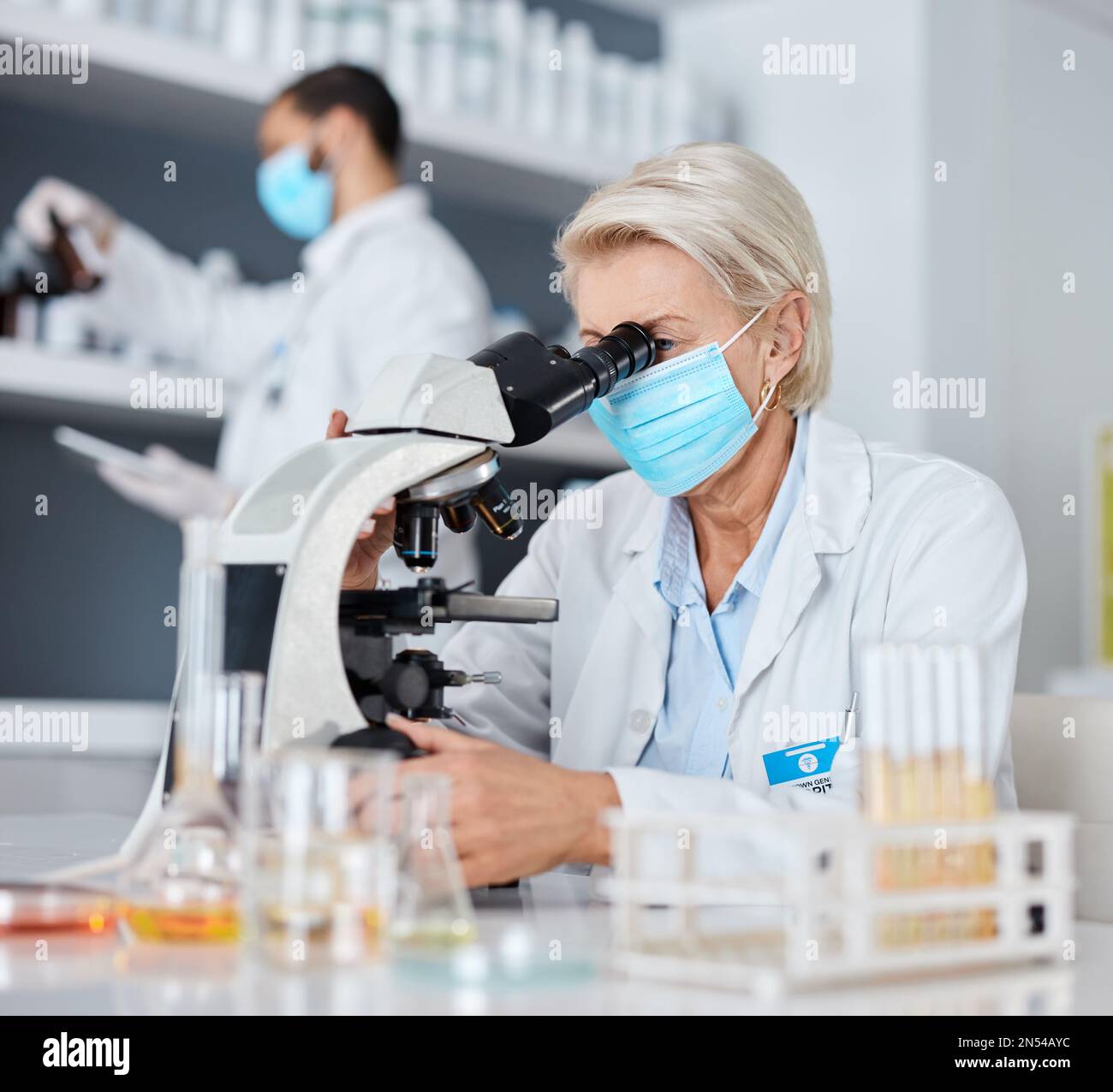 Scientist woman, microscope and bacteria analysis in laboratory for ...