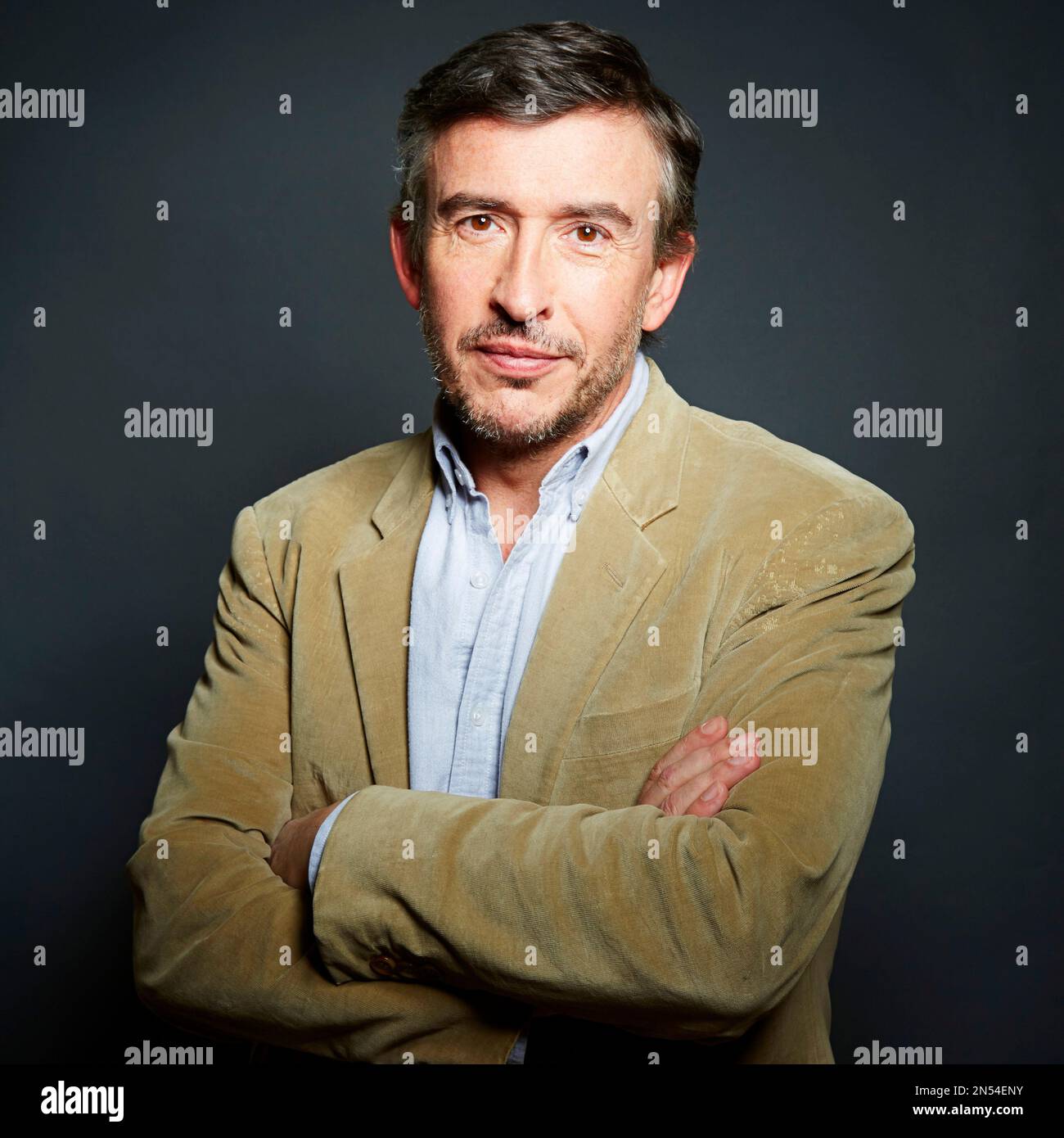 English comedian, writer and actor in the upcoming film "Alan Partridge ...