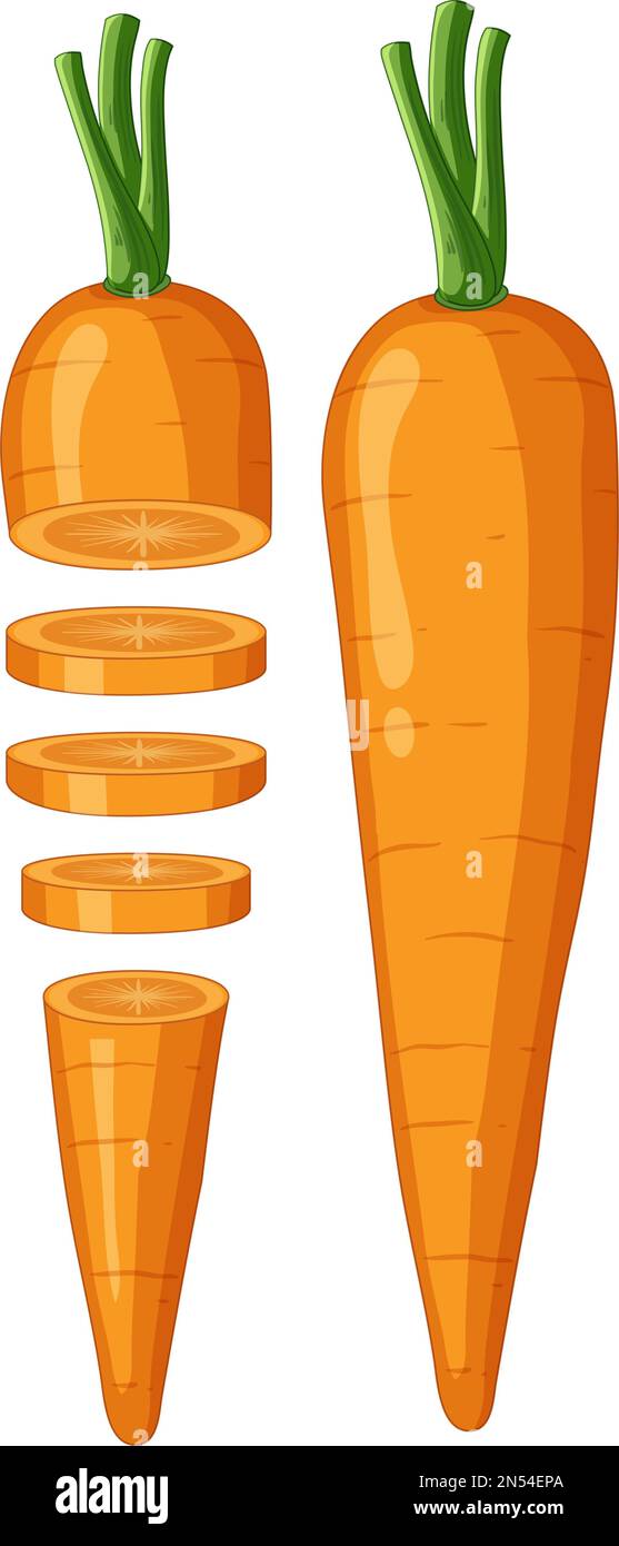 Chopped carrot whole Stock Vector Images - Alamy