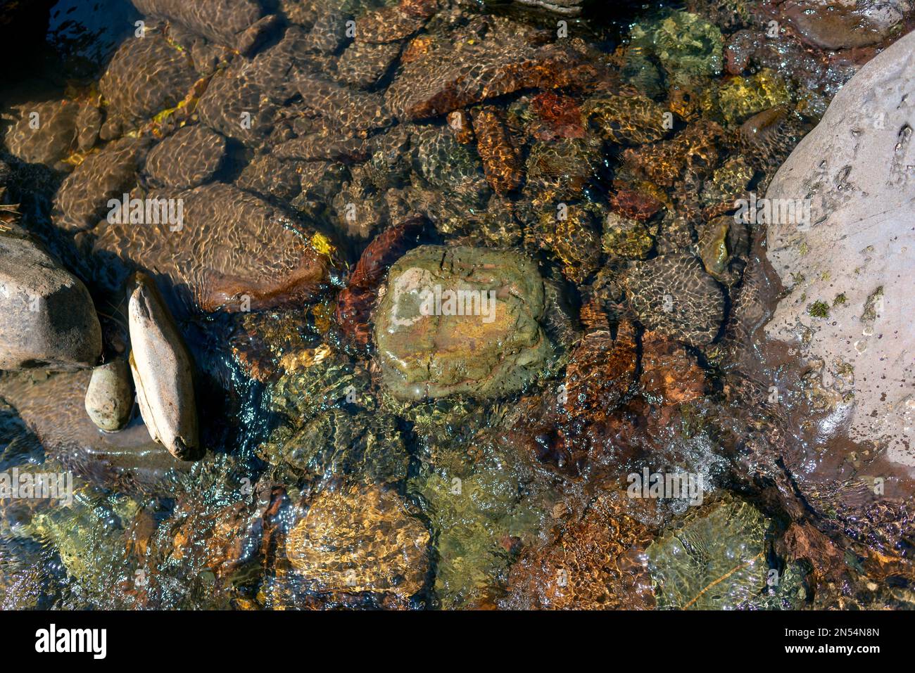 A small transparent stream flows along the stone bottom in the Altai ...