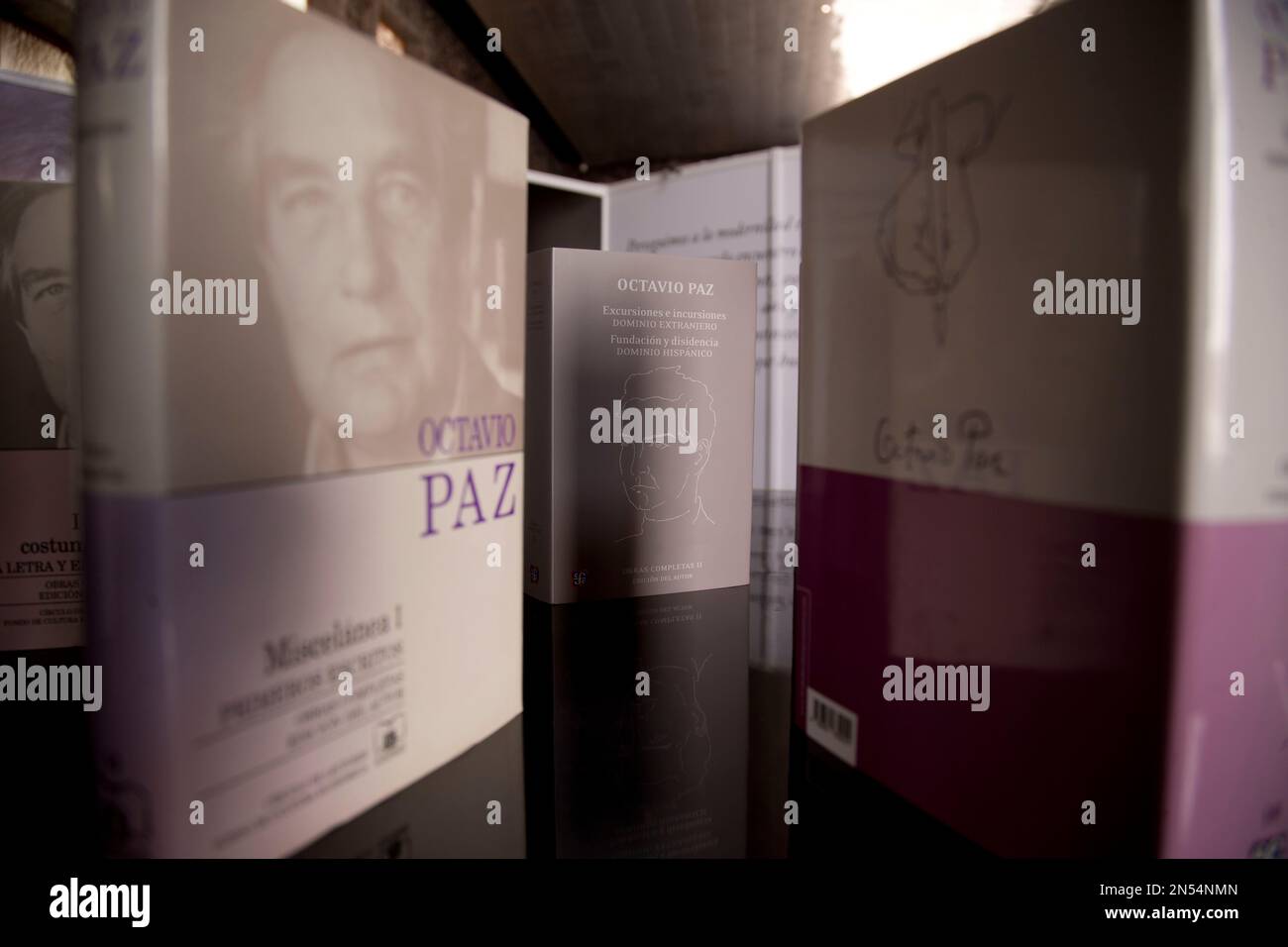 Books by Mexican Nobel Prize poet and essayist Octavio Paz sit on ...
