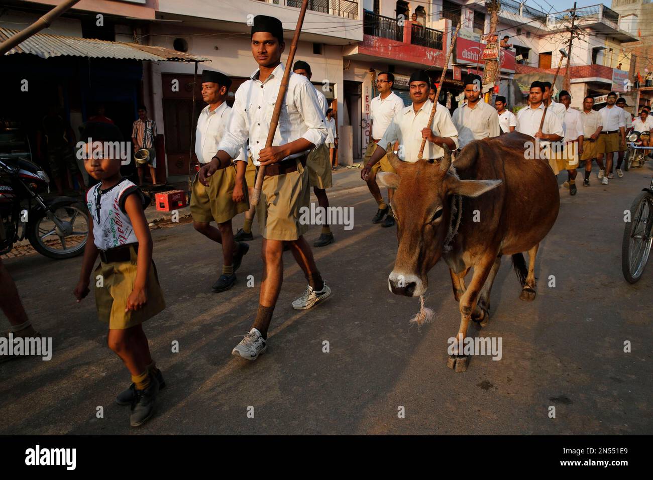 A cow walks past Hindu nationalist organization Rashtriya Swayamsevak ...