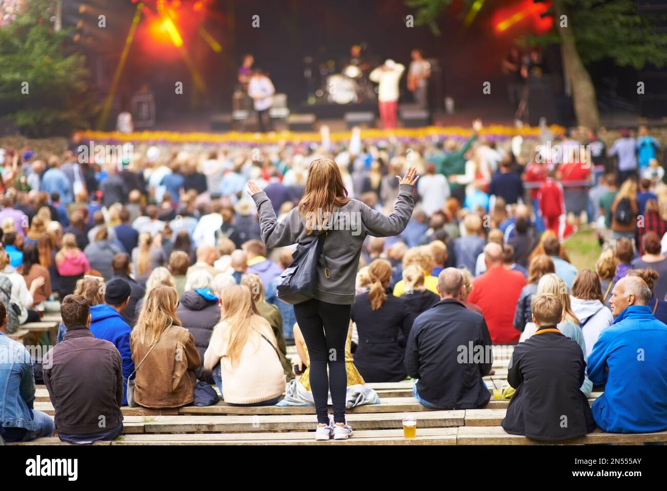 Shes their no 1 fan. Rear-view shot of a crowd at an outdoor music ...